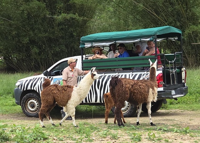 Incomum realiza FAMTRIP exclusivo no Portobello Resort & Safari